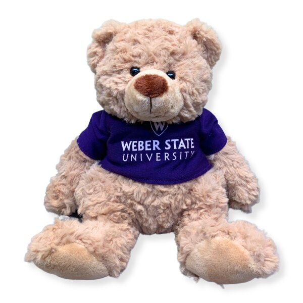 Cuddle Buddy Bear